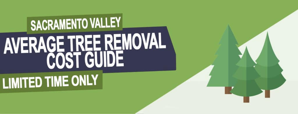 Tree Service Sacramento - Tree Removal Sacramento